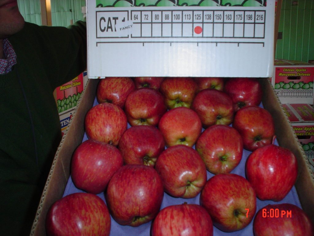 Embalaje de Manzanas Rojas Lisas Fancy y Extra Fancy – SouthFruit & Wines
