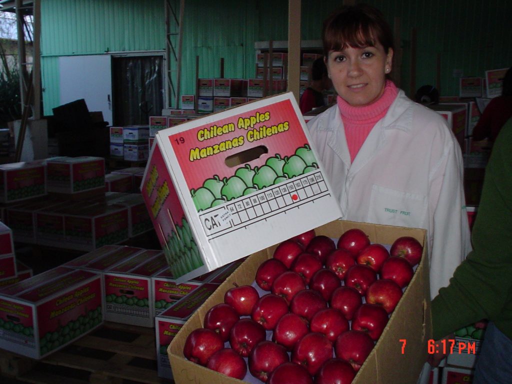 Embalaje de Manzanas Rojas Lisas Fancy y Extra Fancy – SouthFruit & Wines